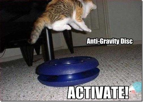 Pictures of Funny Animals - Anti-Gravity Kitty: To The Moon! | Funny ...